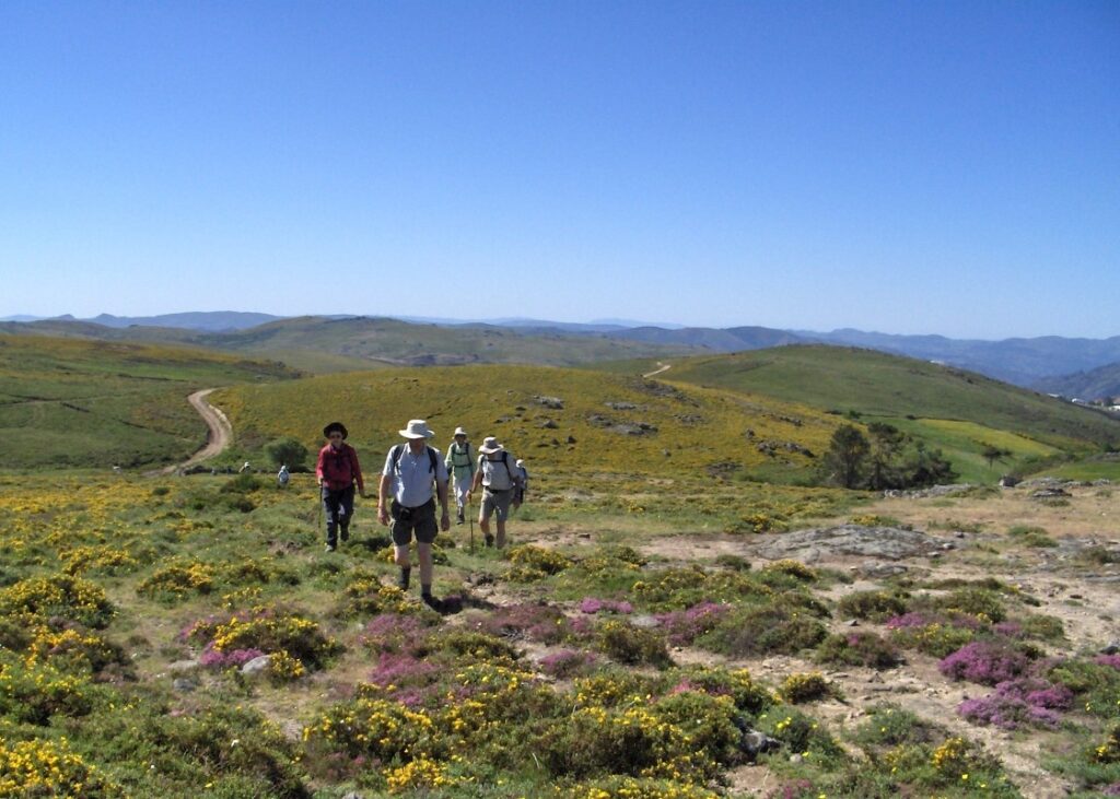 Walking in Peneda National Park: Portugal's Hidden Wilderness ...