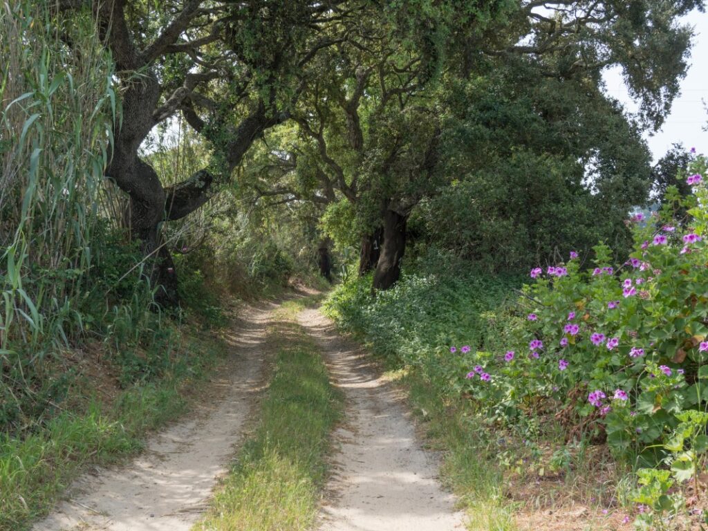 Self-Drive Walking Independent in The Vicentina Route - Legendary ...