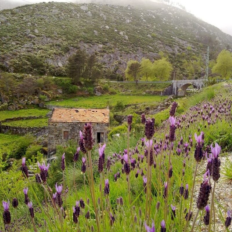 Walking in Peneda National Park: Portugal's Hidden Wilderness ...