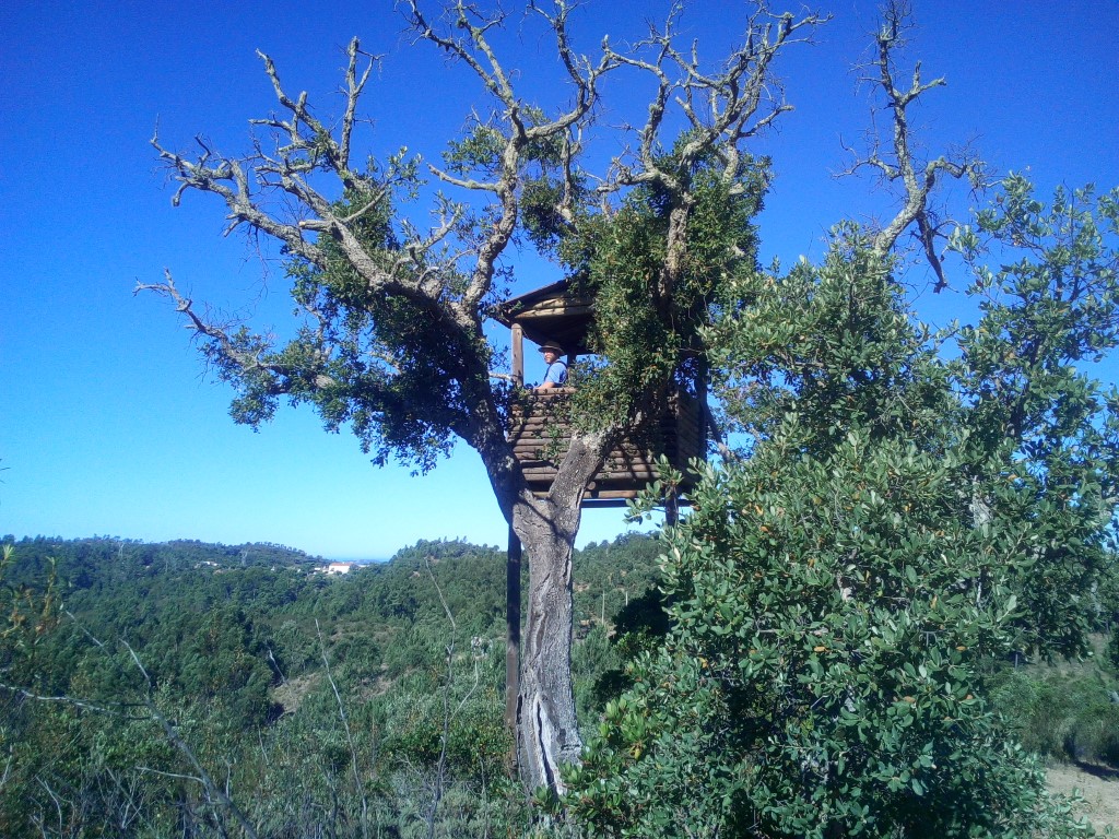 Sightseeing Holidays in Portugal - Legendary Adventure DMC Portugal